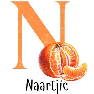 Afrikaans Alphabet Poster, South African Language, Digital Download ...