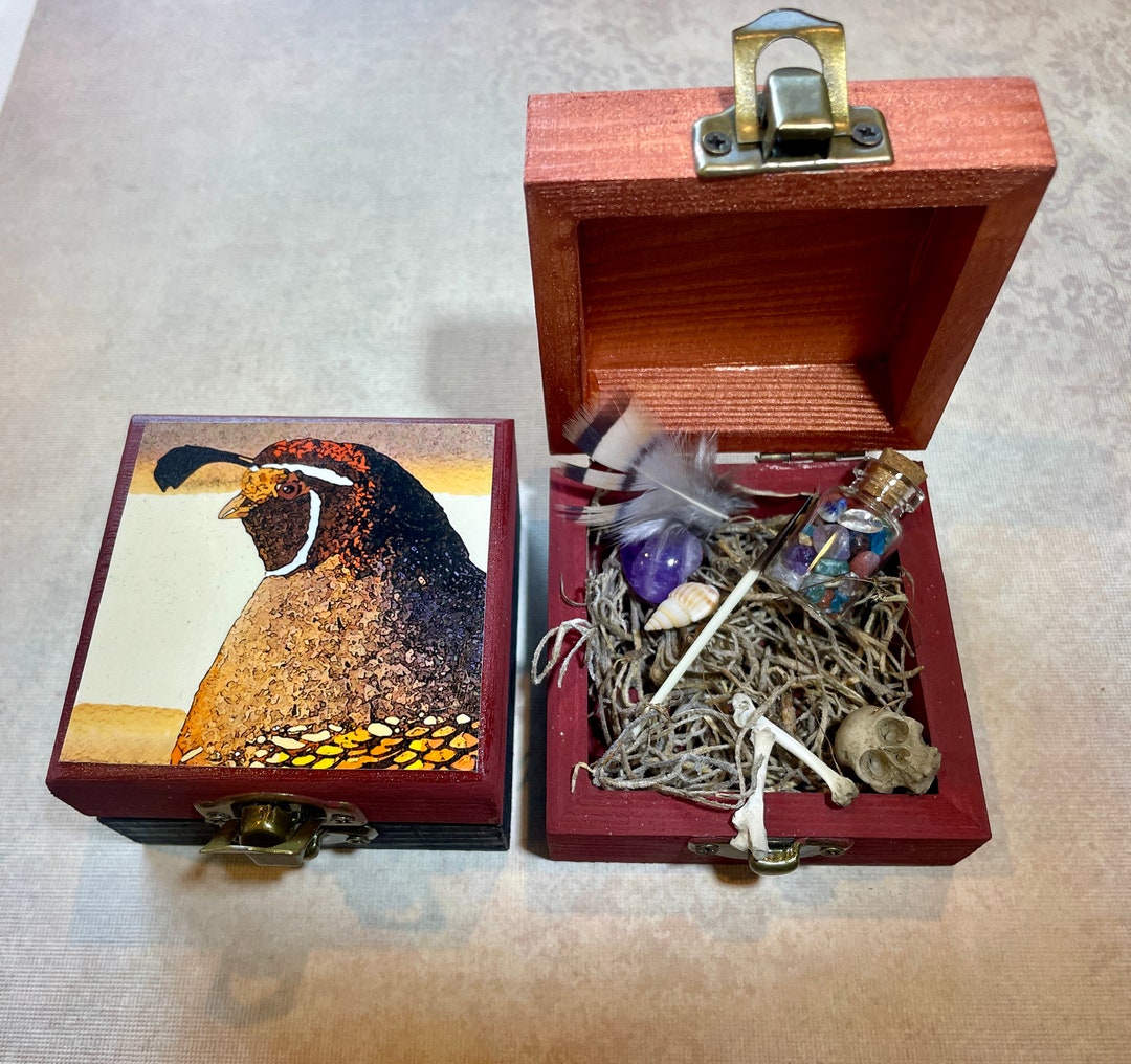 Unique Bird Themed Boxes Containing Natural Oddities and Curiosities ...