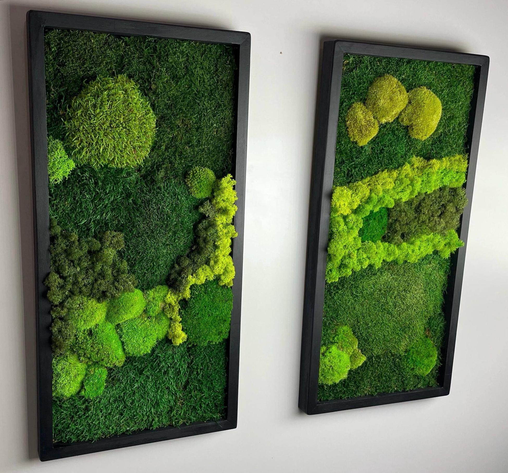 Handmade Preserved Moss Wall Art Maintenance-free Moss Frames (lasts 10 ...