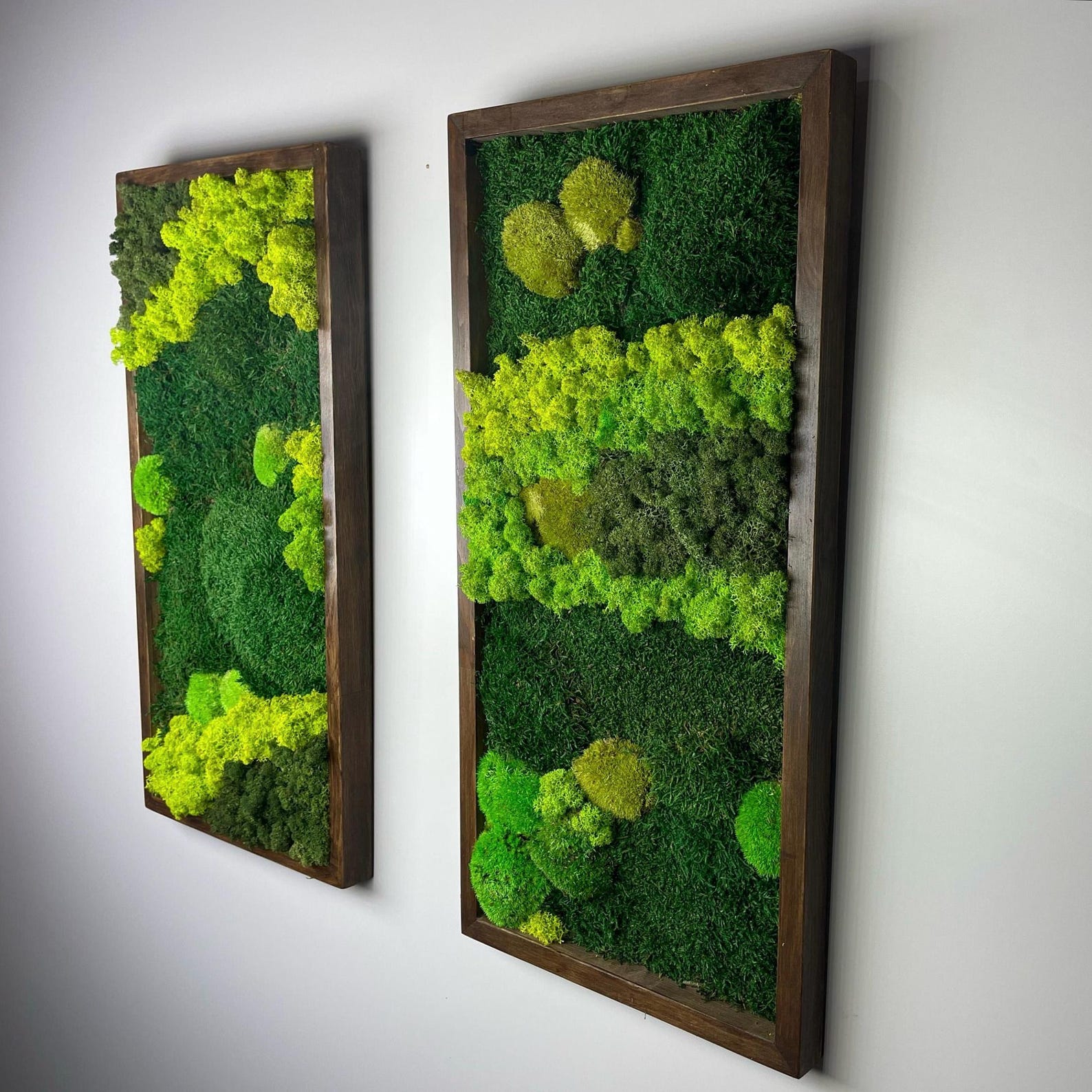 Handmade Preserved Moss Wall Art Maintenance-free Moss Frames (lasts 10 ...