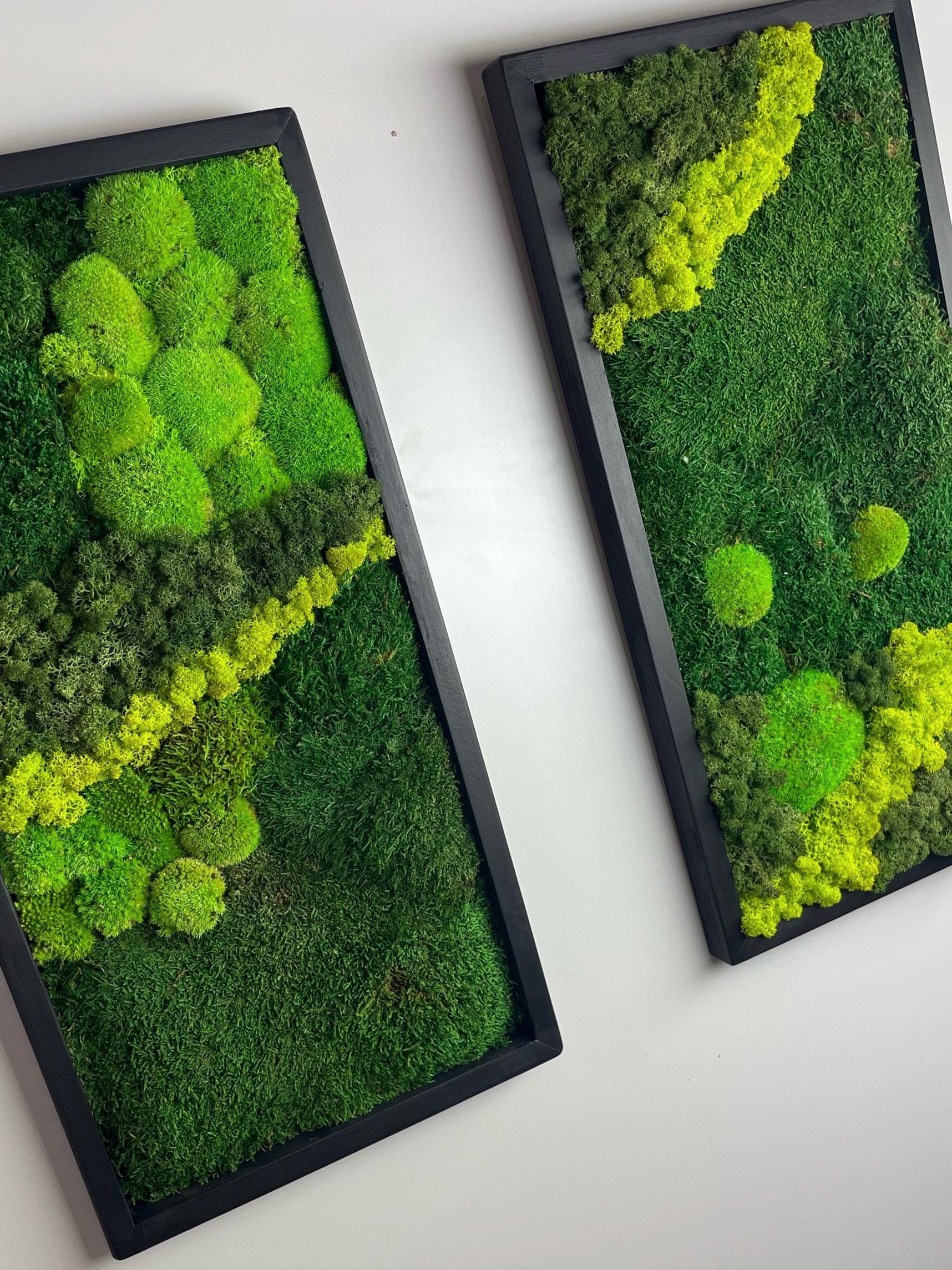 Handmade Preserved Moss Wall Art Maintenance-free Moss Frames (lasts 10 ...