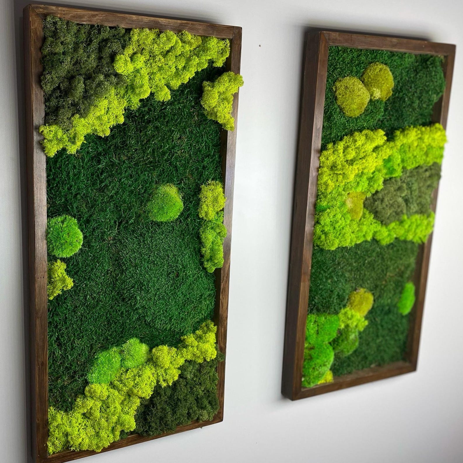 Handmade Preserved Moss Wall Art Maintenance-free Moss Frames (lasts 10 ...