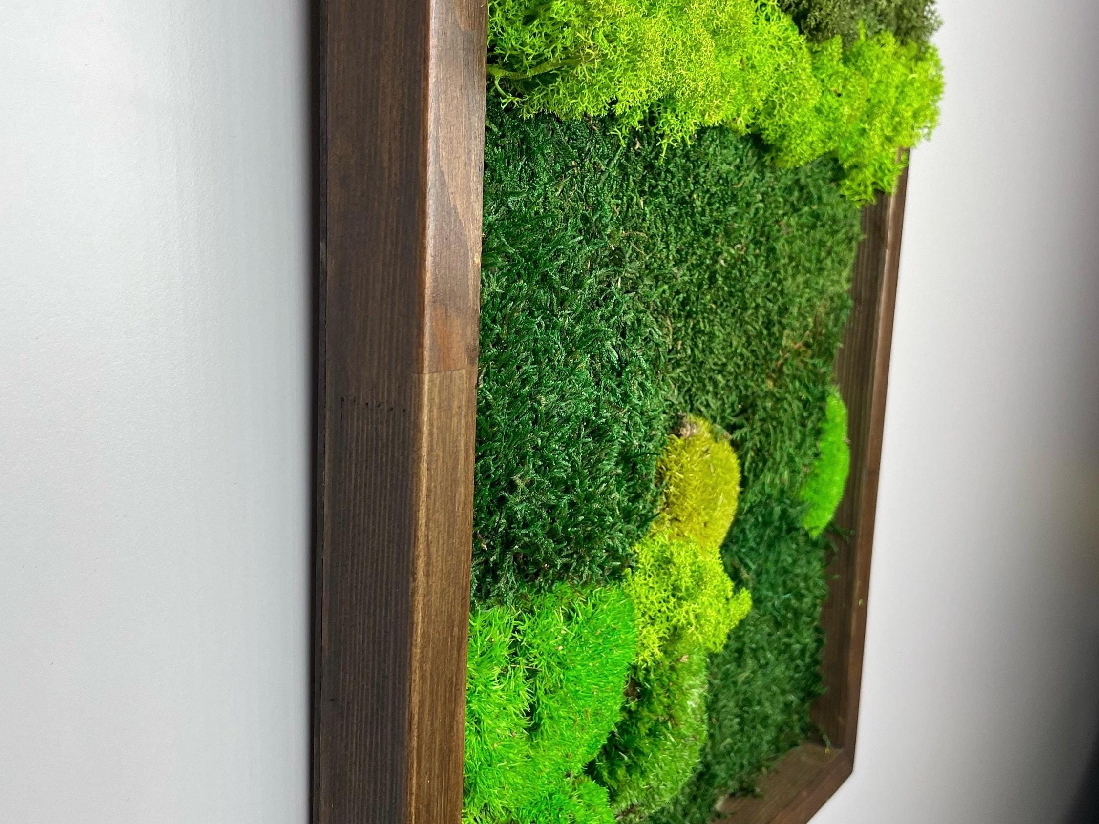 Handmade Preserved Moss Wall Art Maintenance-free Moss Frames (lasts 10 ...