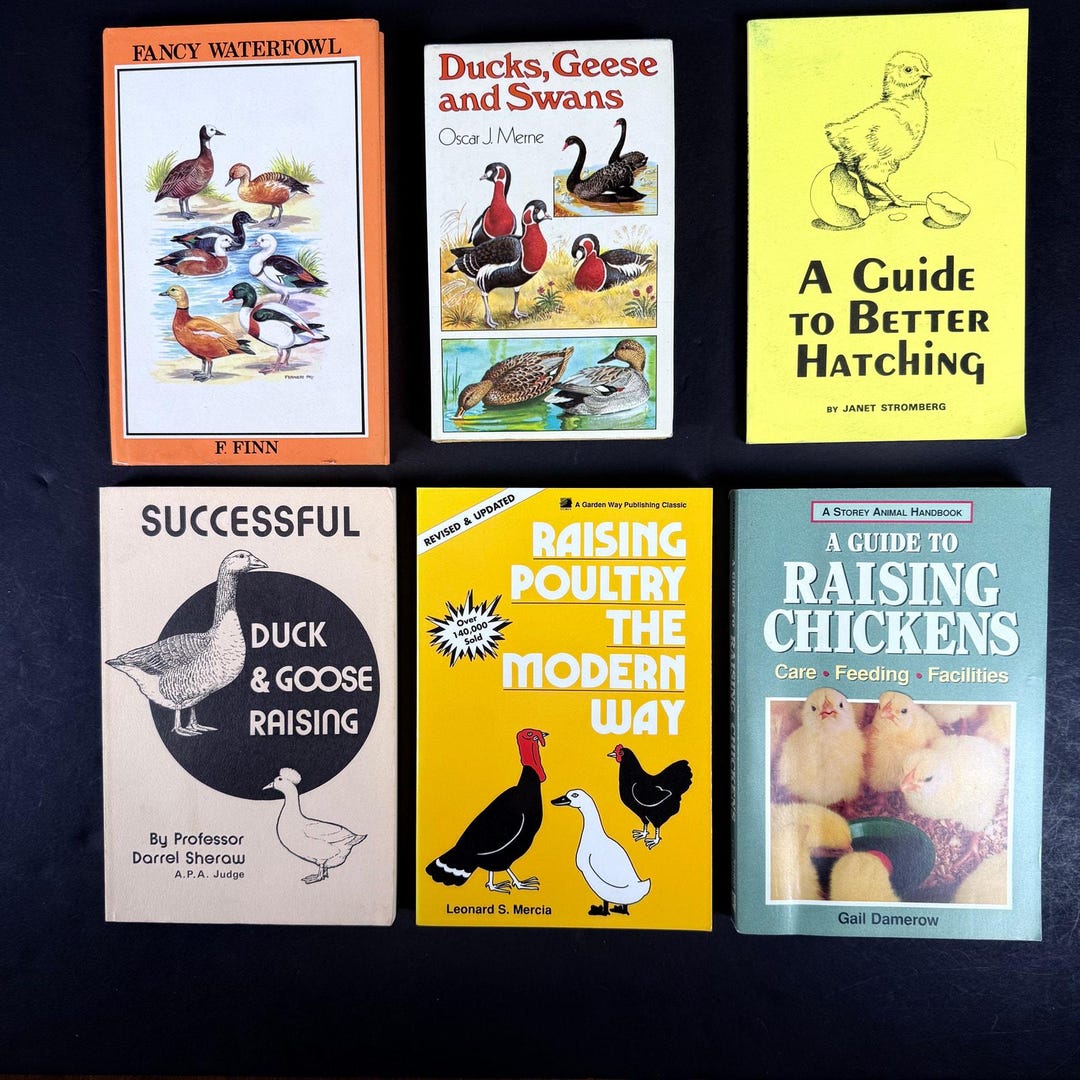 Raising, Hatching and Husbanding Fancy Waterfowl - Poultry, Duck, Geese ...