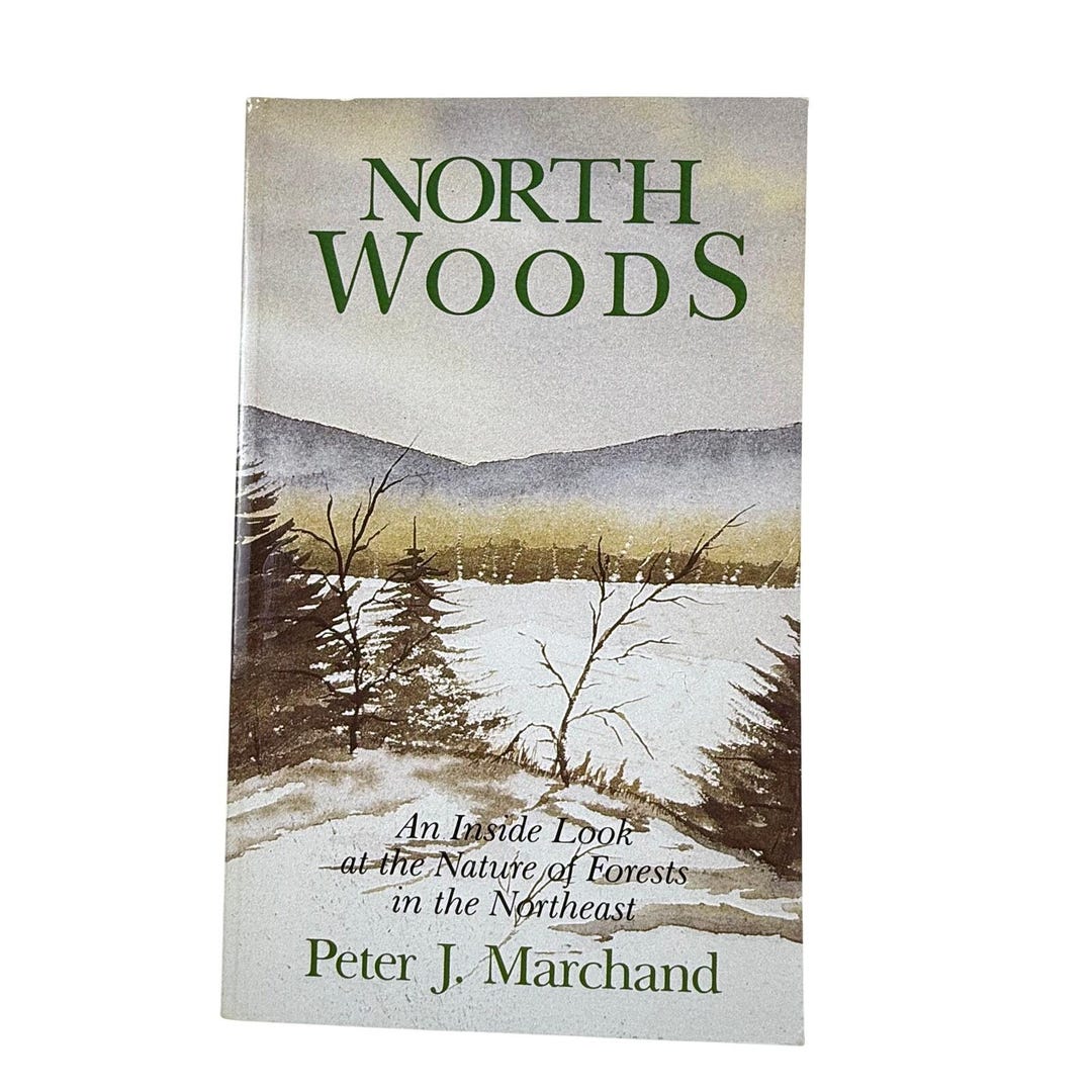 North Woods by Peter Marchand Forest of the Northeast 1987 First ...