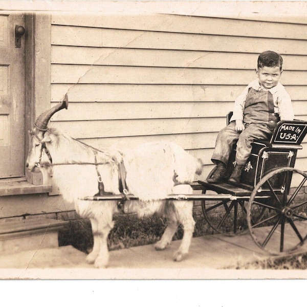 Goat Cart - Etsy