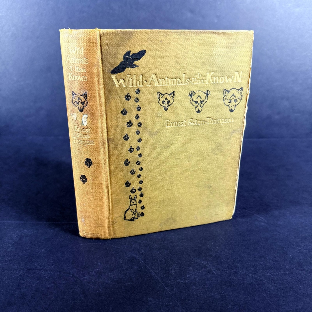 Wild Animals I Have Known Ernest Seton Thompson 1898 1st Edition 12th ...