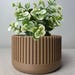 Wooden Classical Japanese Bonsai Pot - Etsy