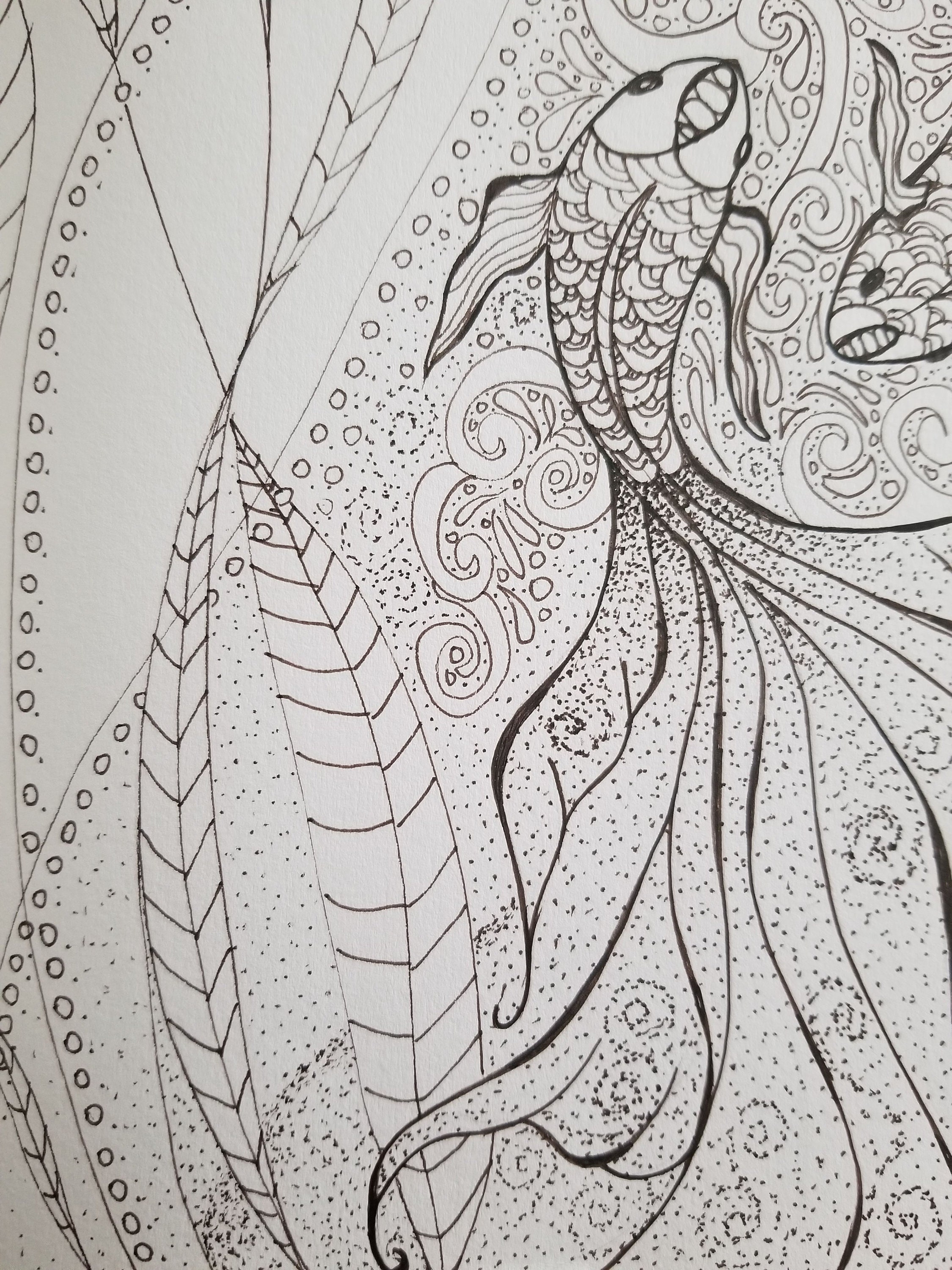 Coi Fish - Etsy