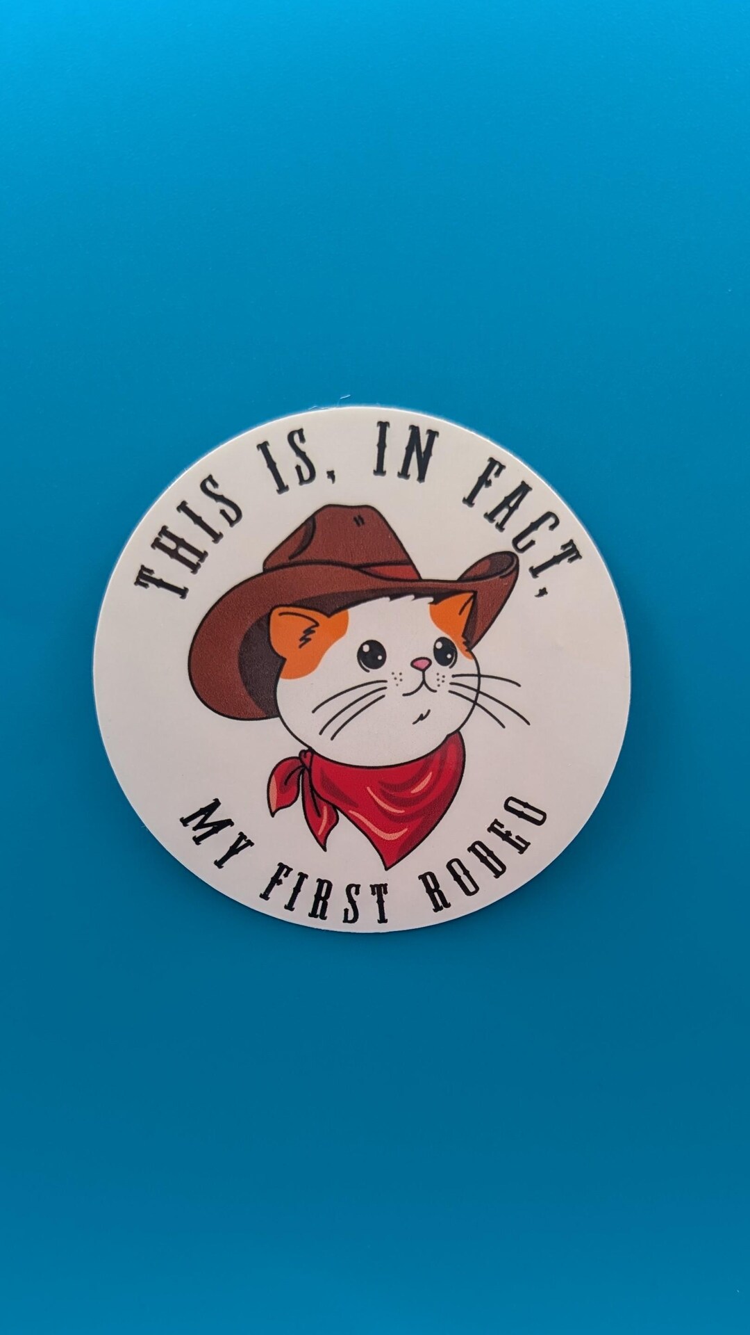 This is in Fact My First Rodeo Cat Cowboy Sticker - Etsy