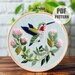 Modern Hummingbird Hand Embroidery Pattern, 6 Sizes, Nature Hoop Art ...