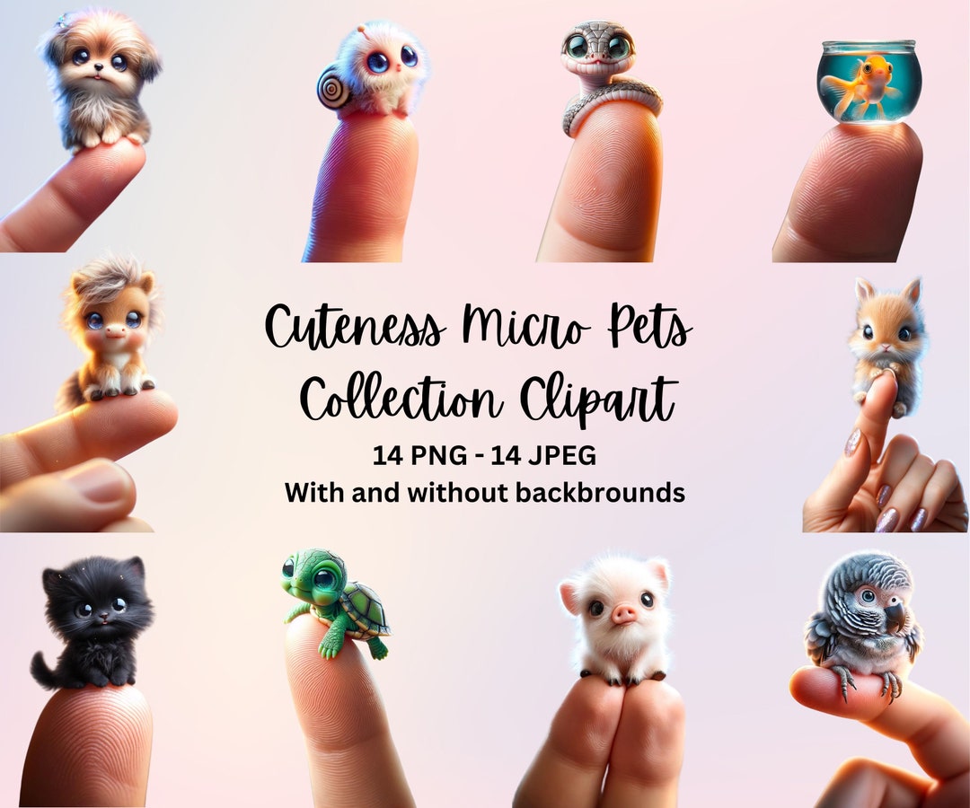 Cute Micro Pet Collection Clipart, PNG, JPEG, Animals, Digital Download ...