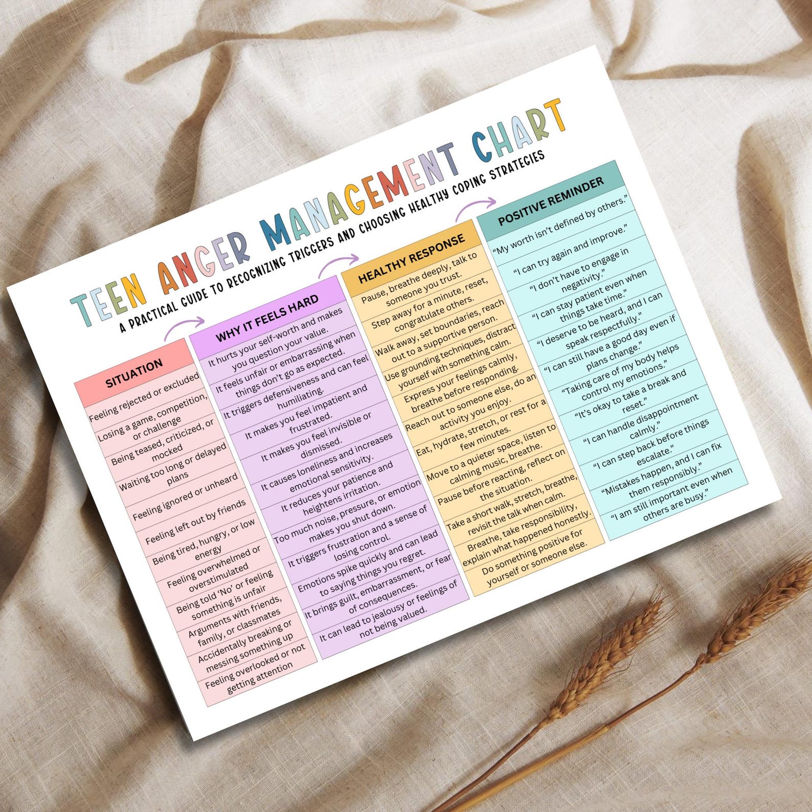 Teens Anger Management Chart, Emotional Regulation Chart for Teens ...