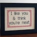 DIY I Like You & Think You're Neat - .pdf Original Cross Stitch Pattern ...