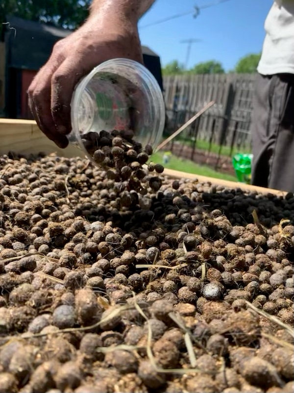 Organic Rabbit Manure Fertilizer: Natural Garden Compost (1.25lb Bag ...