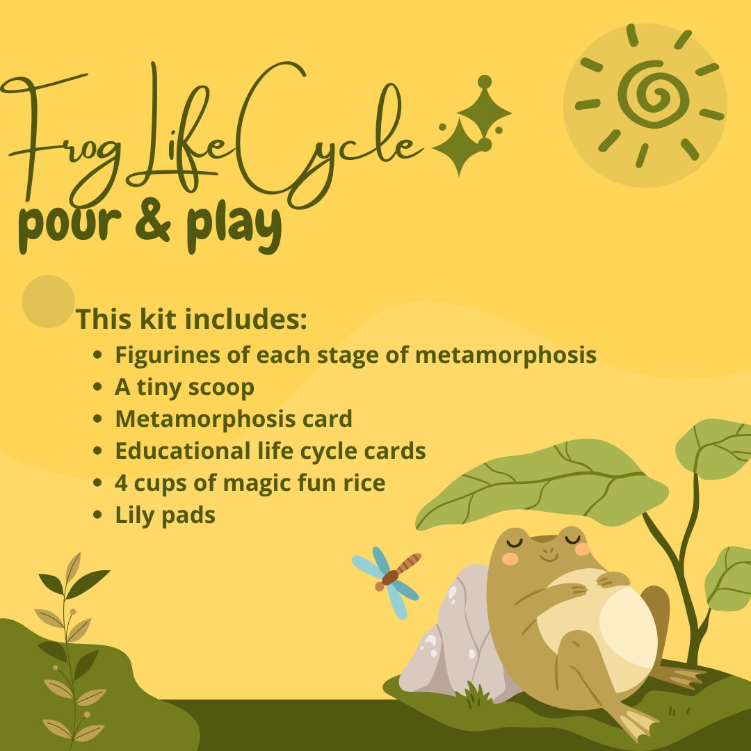 Frog Life Cycle- Pour & Play Sensory Kit - Etsy