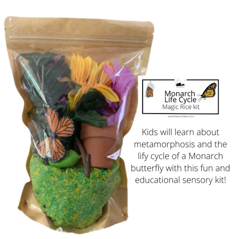 Monarch Butterfly Life Cycle- Pour & Play Sensory Kit - Etsy