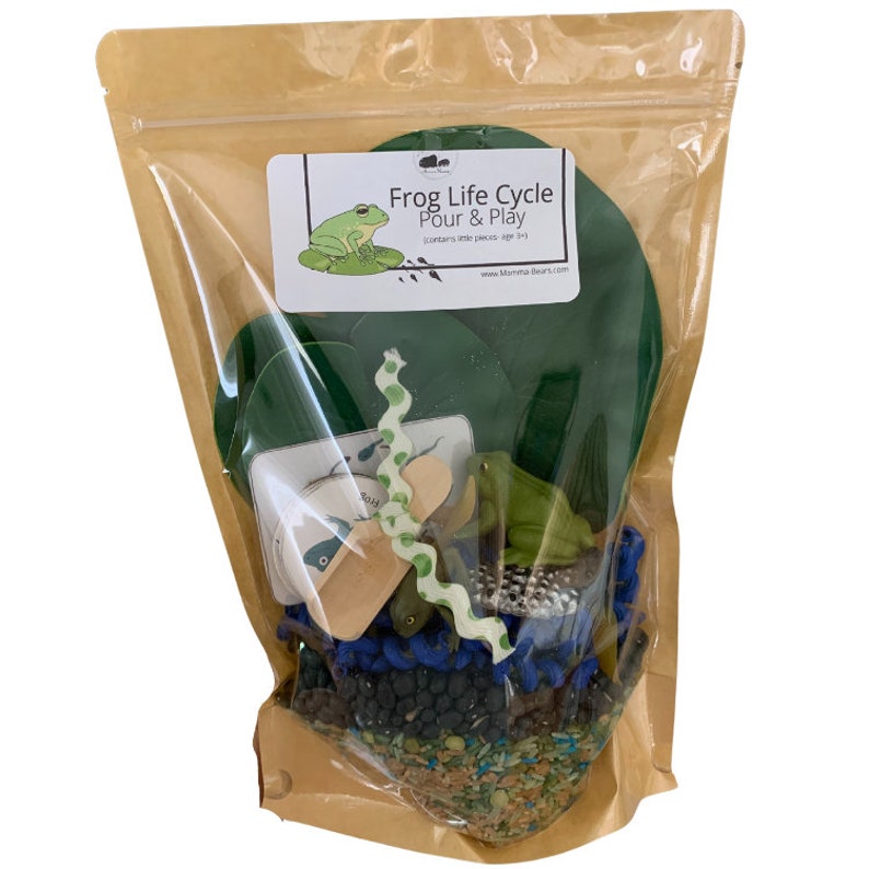 Frog Life Cycle- Pour & Play Sensory Kit - Etsy