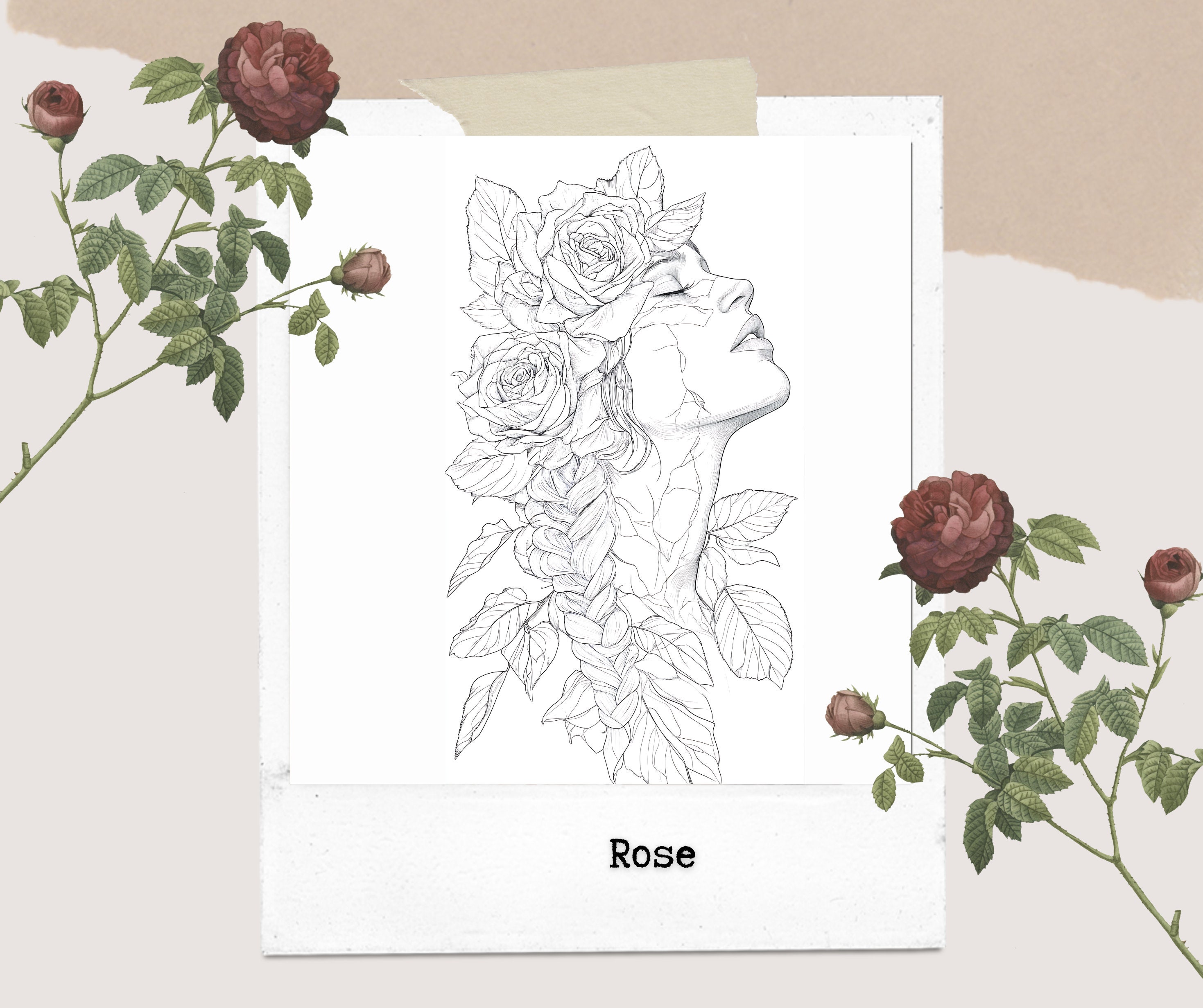 Page 2 of Rose Coloring From the Rose Coloring Pages Collection by MUNZ ...