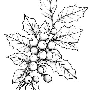 Christmas Holly Berry Coloring Page Festive Botanical Illustration for ...
