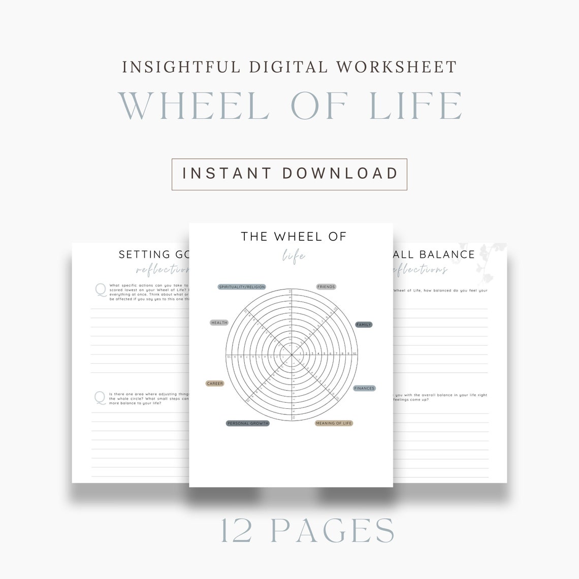 The Wheel of Life Worksheet, Life Balance Assessment Tool, Certified ...