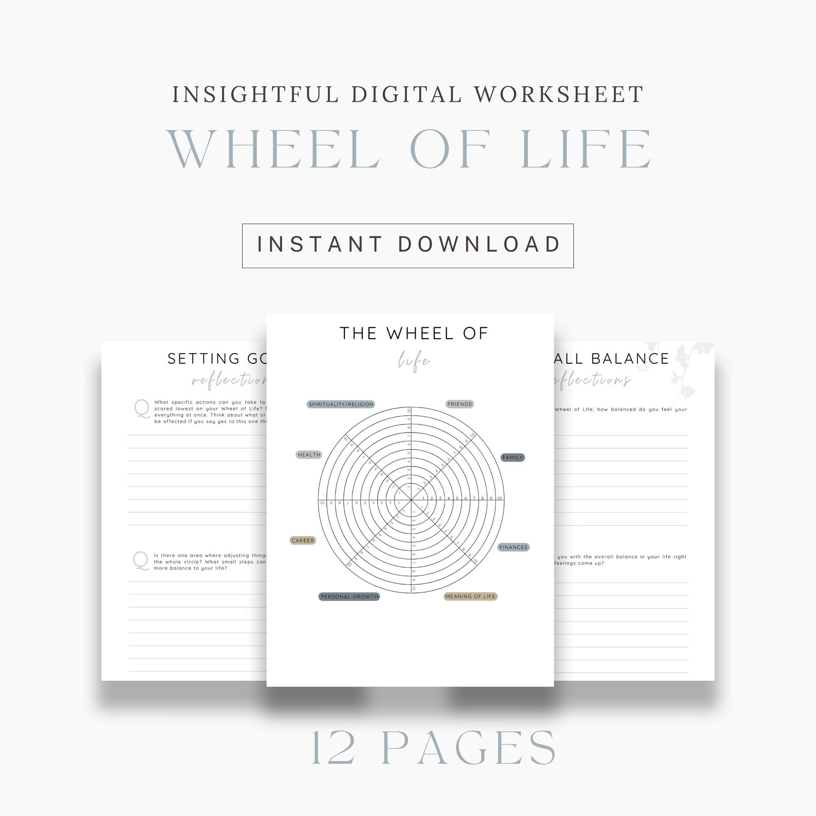 The Wheel of Life Worksheet, Life Balance Assessment Tool, Certified ...