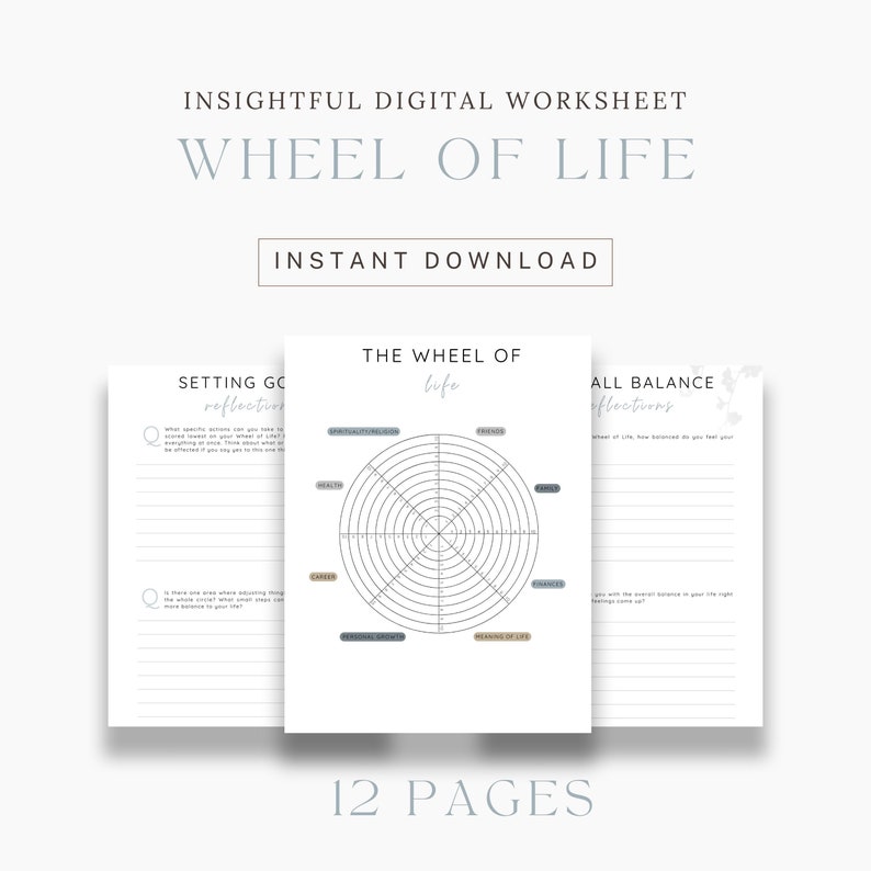 The Wheel of Life Worksheet, Life Balance Assessment Tool, Certified ...