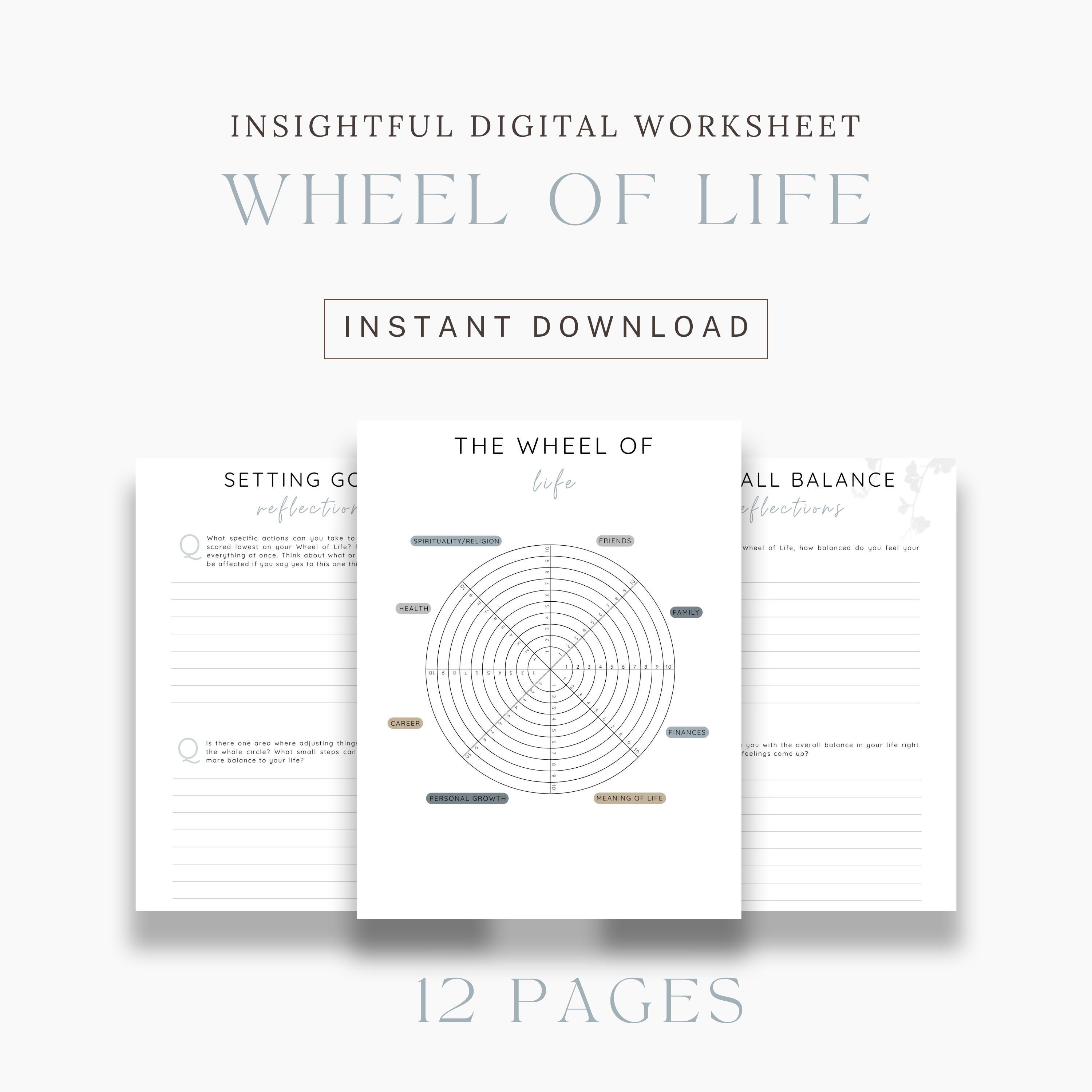 The Wheel of Life Worksheet, Life Balance Assessment Tool, Certified ...