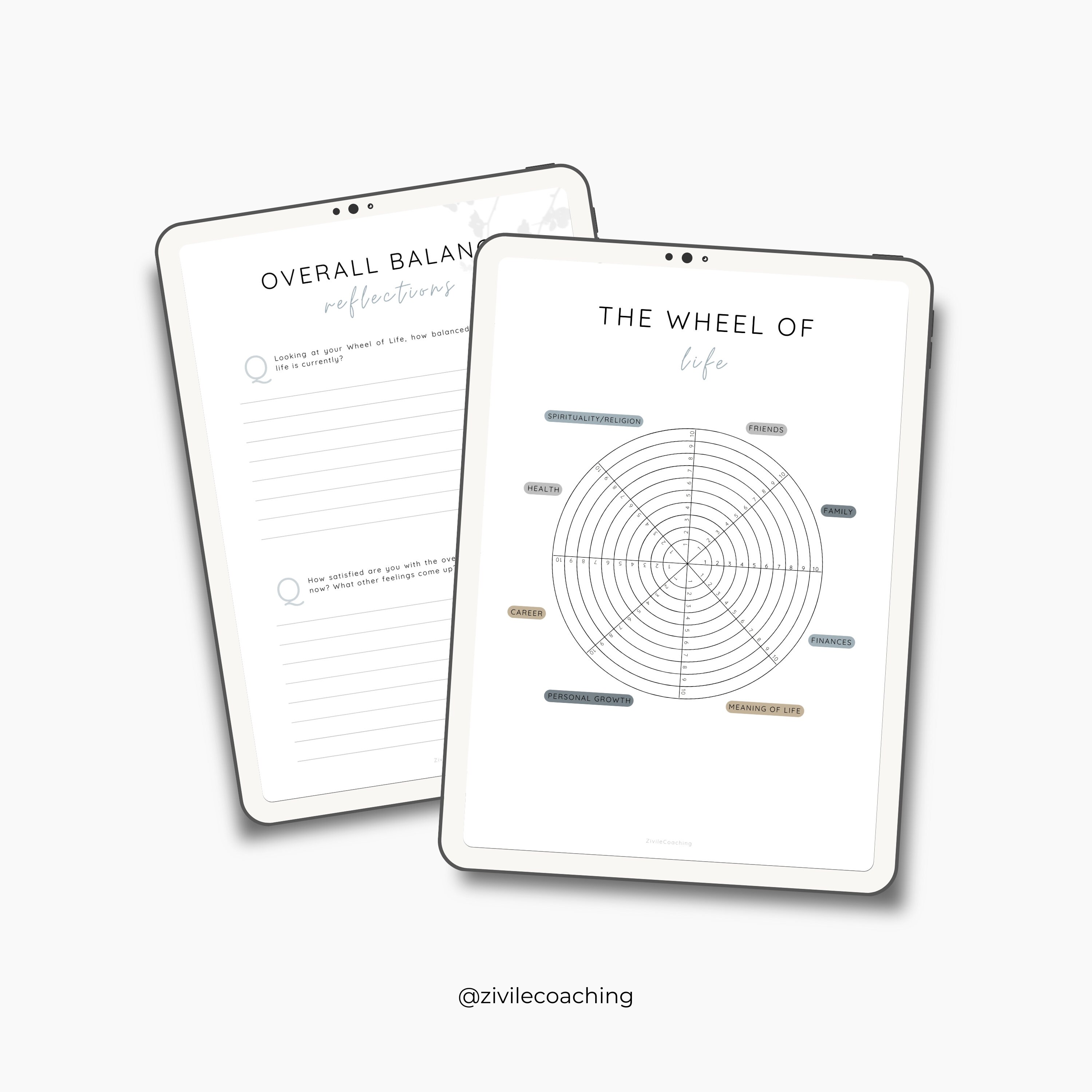 The Wheel of Life Worksheet, Life Balance Assessment Tool, Certified ...
