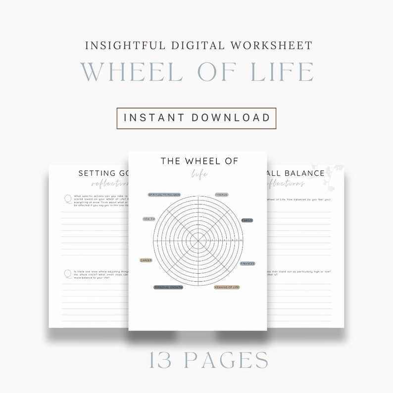 The Wheel of Life Worksheet, Life Balance Assessment Tool, Certified ...