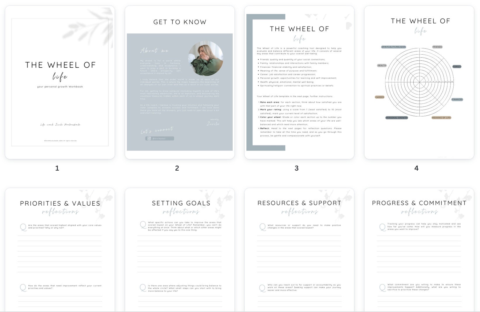 The Wheel of Life Worksheet, Life Balance Assessment Tool, Certified ...