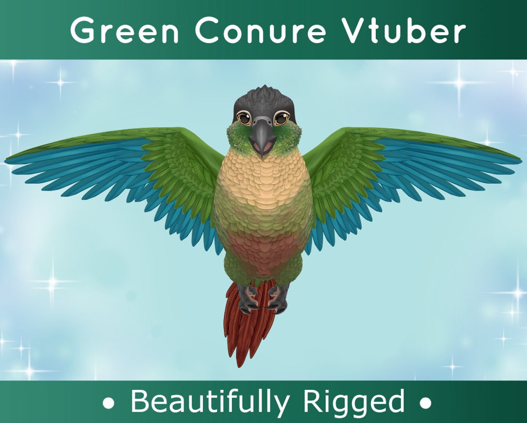 Bird Vtuber Model - Gonzo the Green Cheek Conure © - Etsy