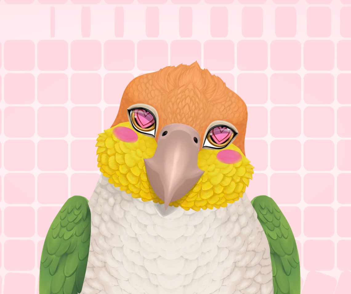 Bird Vtuber Model - Jack the White Bellied Caique © | Ready to Use ...