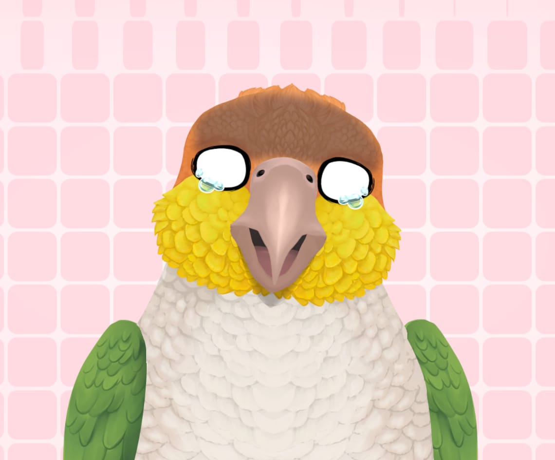 Bird Vtuber Model - Jack the White Bellied Caique © | Ready to Use ...