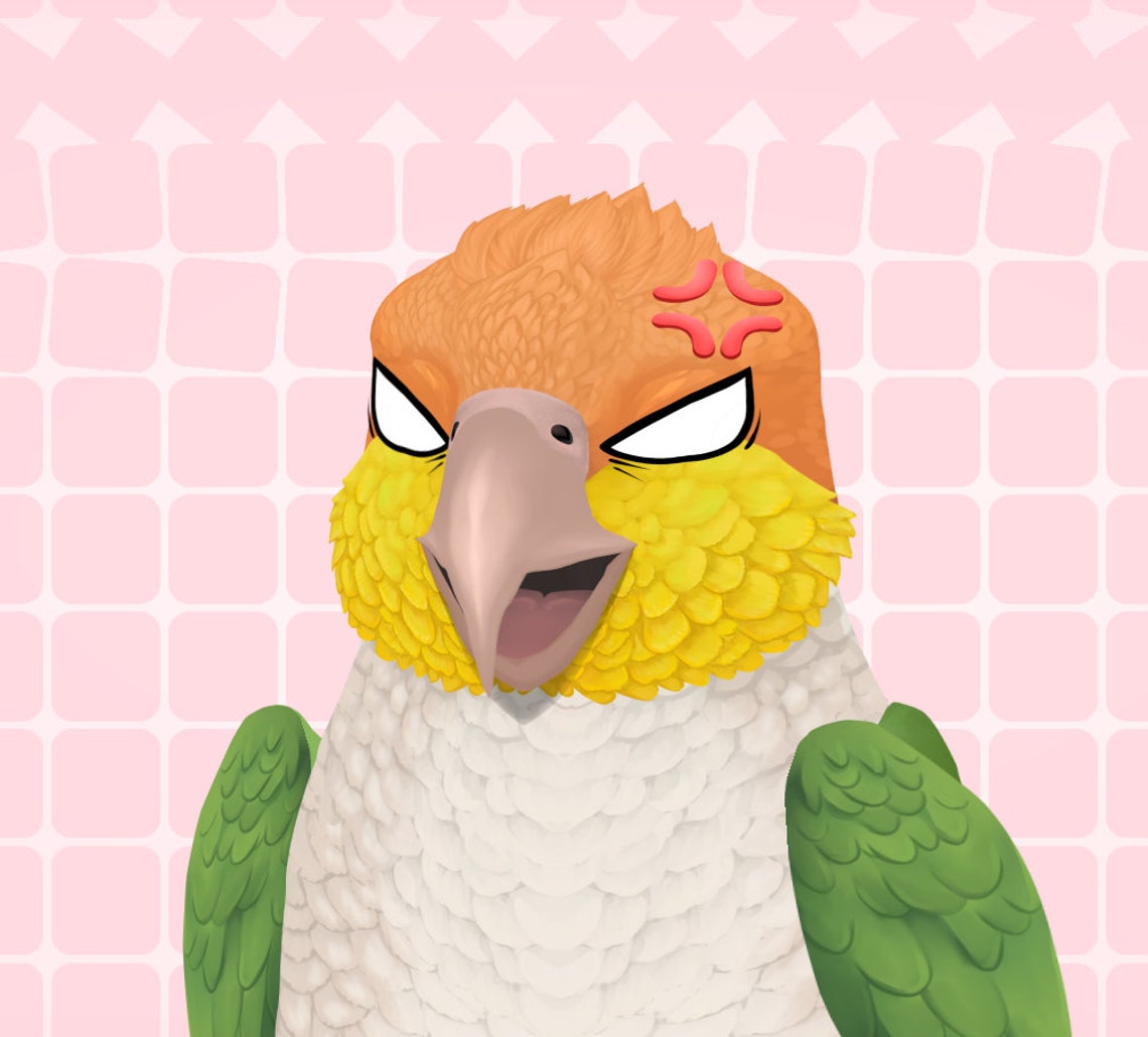 Bird Vtuber Model - Jack the White Bellied Caique © | Ready to Use ...