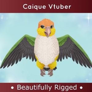 Bird Vtuber Model - Jack the White Bellied Caique © | Ready to Use ...