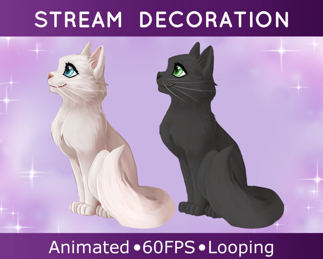 Animated Black and White Cat | Streamer Pet | Stream Decoration - Etsy