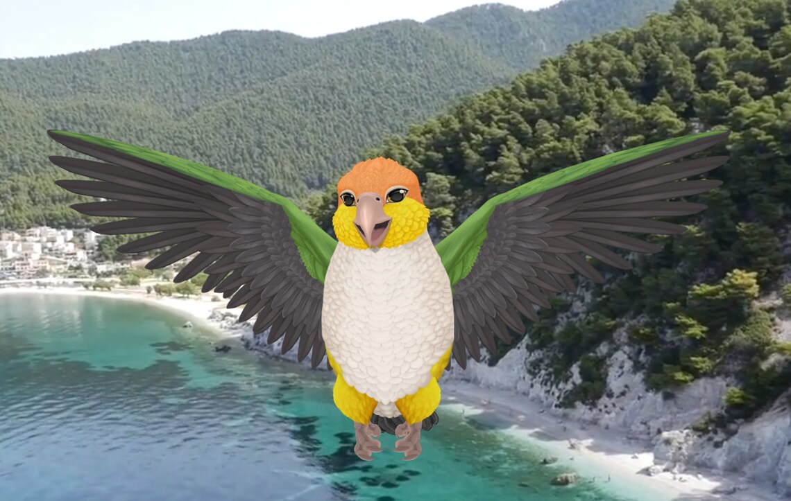 Bird Vtuber Model - Jack the White Bellied Caique © | Ready to Use ...