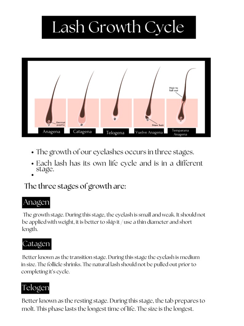 Lash Extensions Guide - Etsy