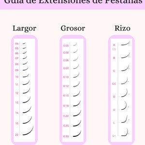 Lash Extensions Guide Guia De Extensiones De Pestañs - Etsy