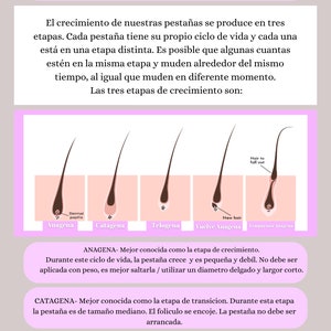 Lash Extensions Guide Guia De Extensiones De Pestañs - Etsy