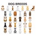 Personalized Dog Mat With Dog Breed Design, Dog Food Mat, Dog Gifts ...
