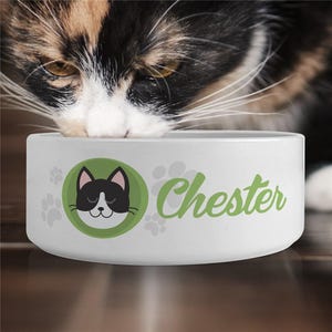 Personalized Cat Bowl, Cat Breed Bowl, Cat Owner Gift, New Cat Supplies ...