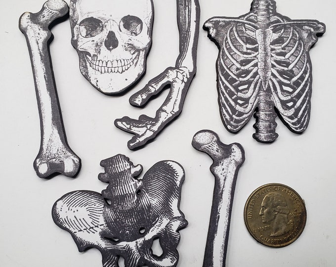 Bone Woodcut Shapes - Etsy
