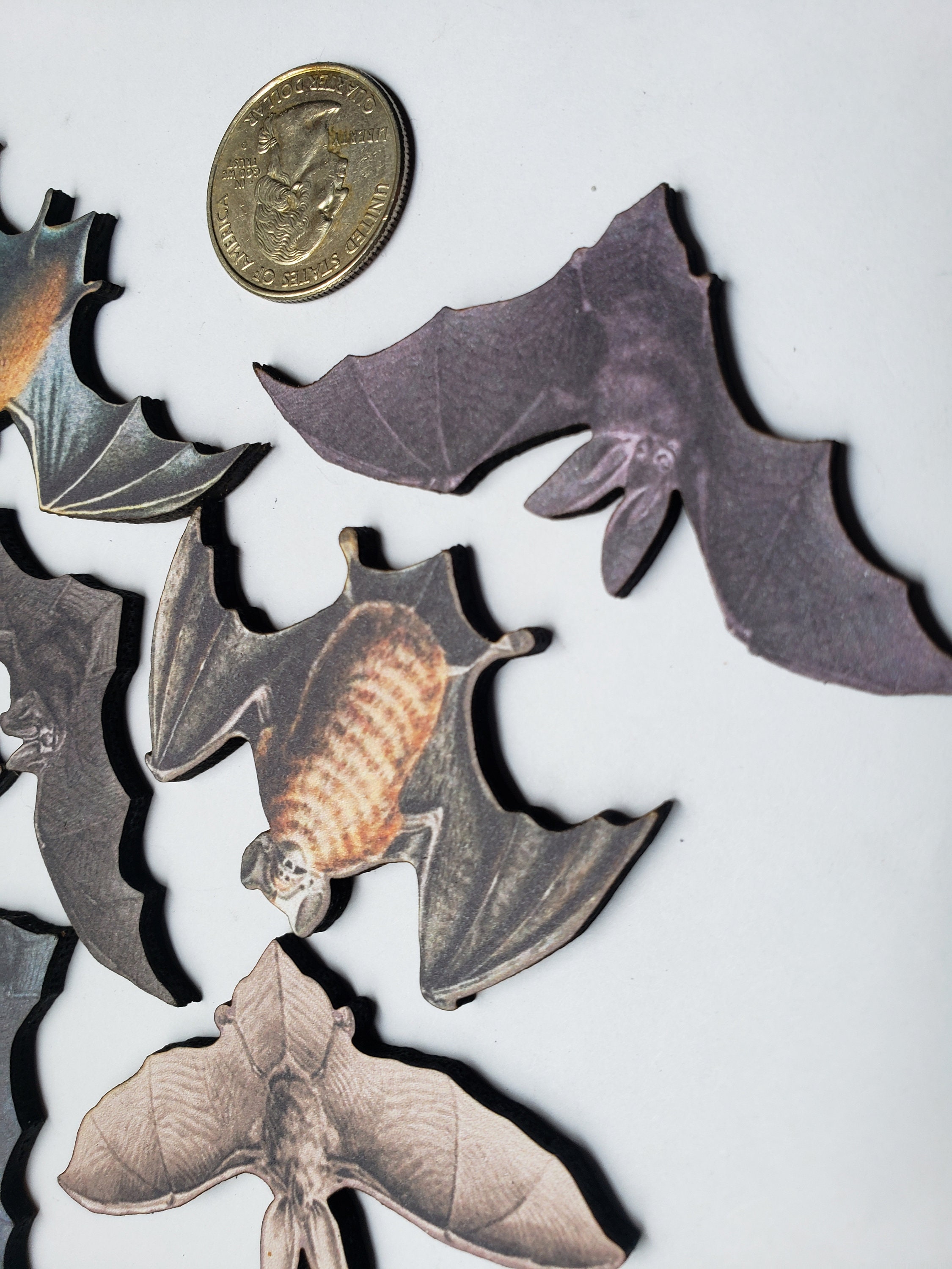 Vampire Bats Woodcut Supplies - Etsy