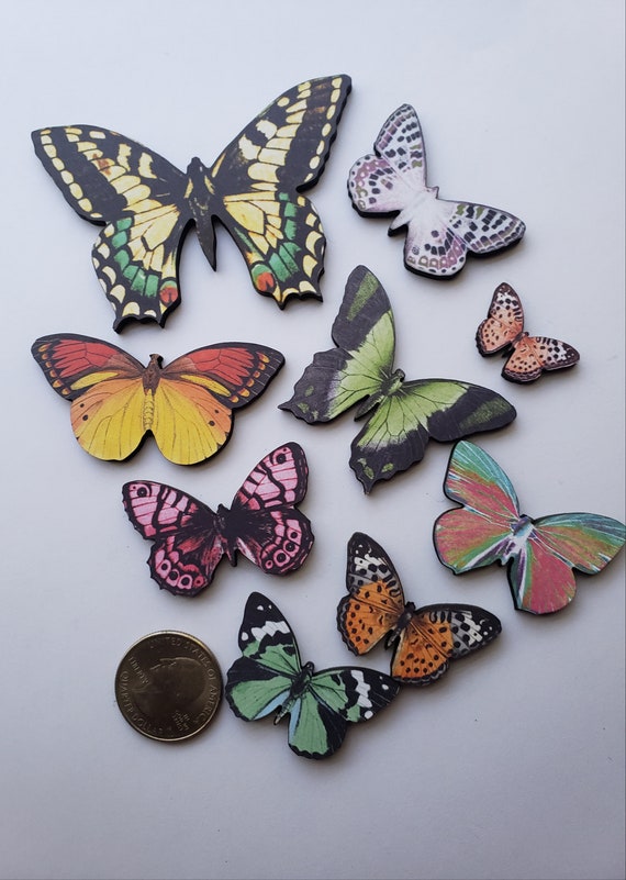 Realistic Butterfly Woodcut Shapes Art Supplies | Etsy