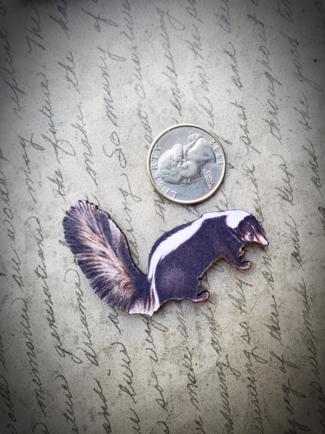 Skunk Art Brooch - Etsy