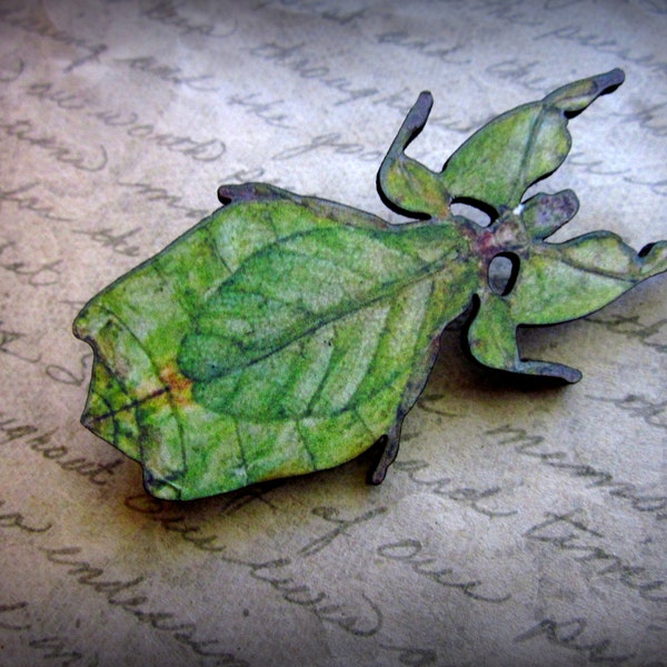 Bug Pin - Etsy