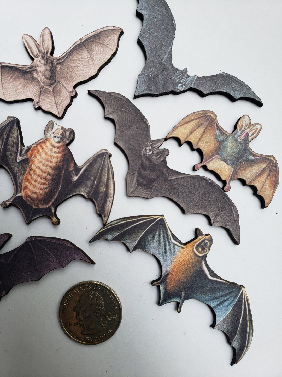 Vampire Bats Woodcut Supplies - Etsy