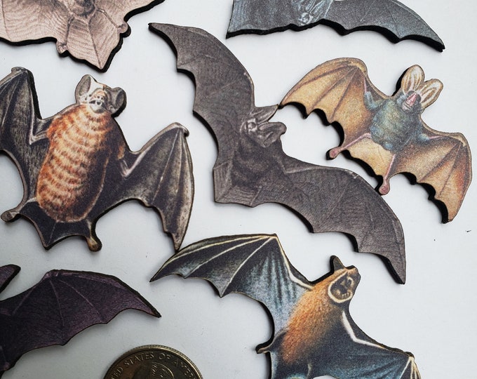 Vampire Bats Woodcut Supplies - Etsy
